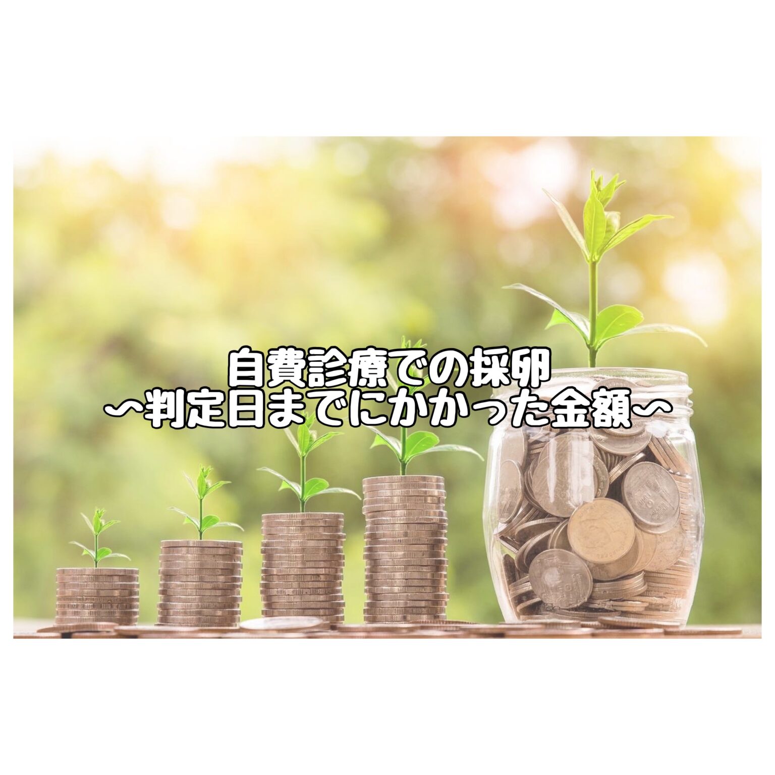 113 自費診療での採卵~判定日までにかかった金額 Ayase 20代からの不妊治療